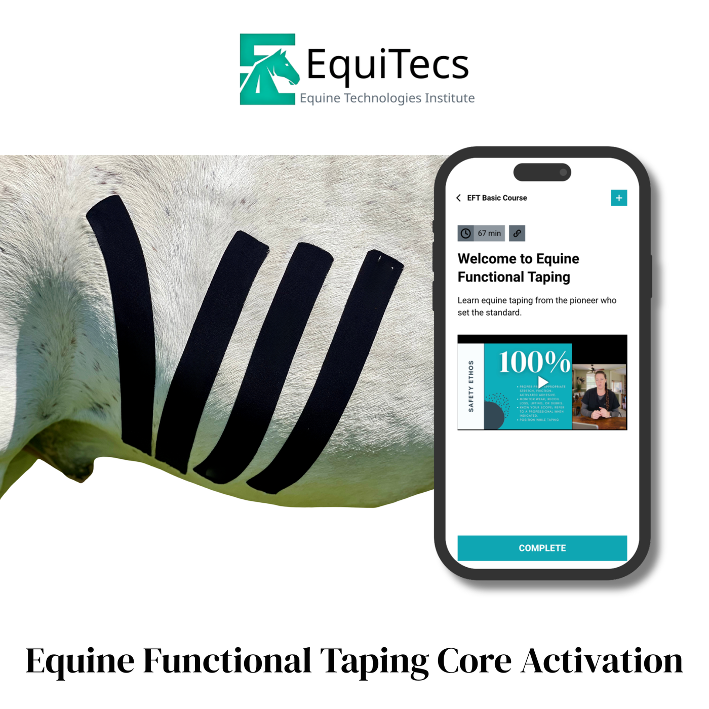 Equine Core Muscle Activation Protocol | 20-Minute Online Course ...
