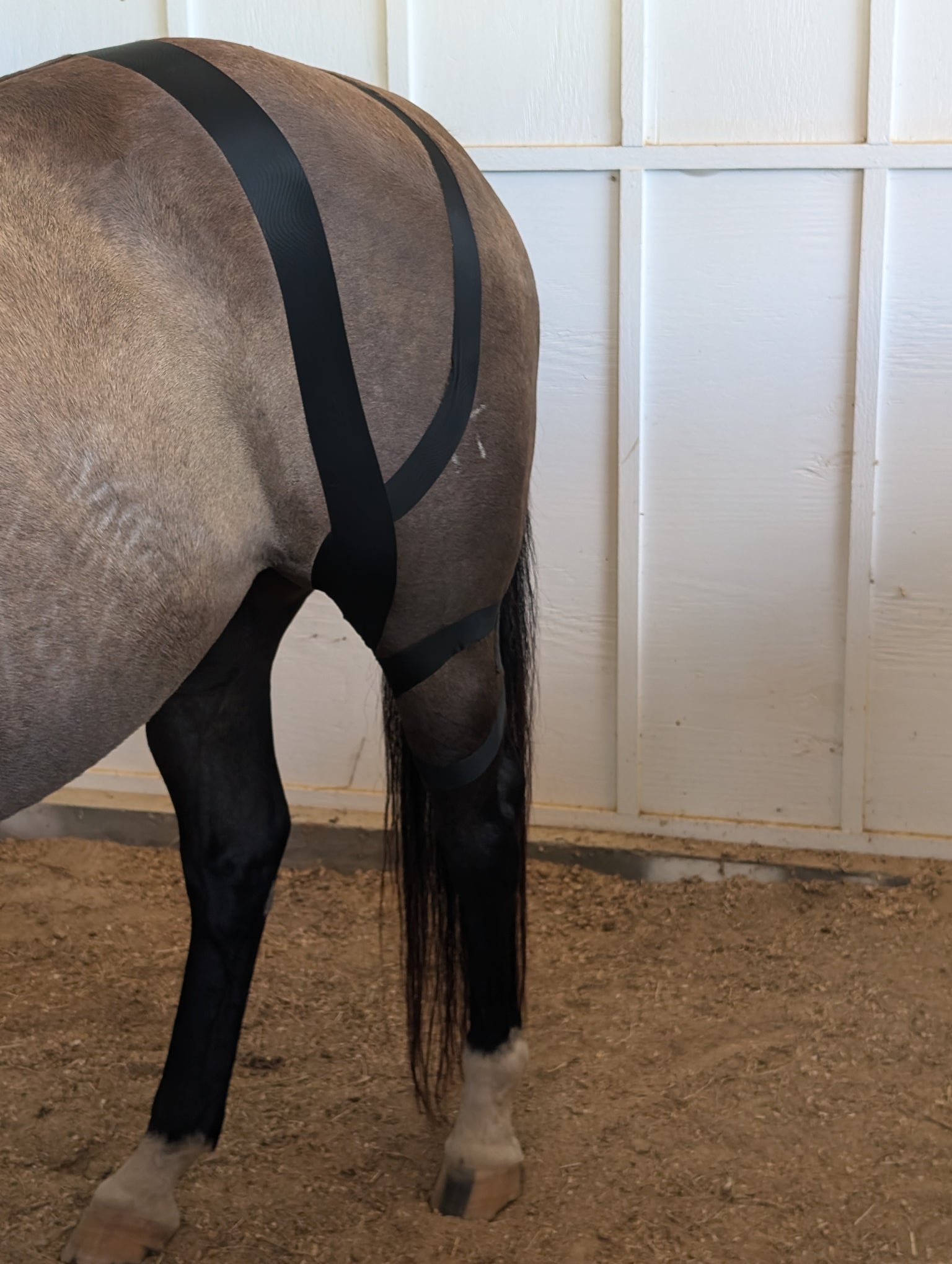 Equi-Tape®: Equine Kinesiology Tape & Accredited Horse Care Education